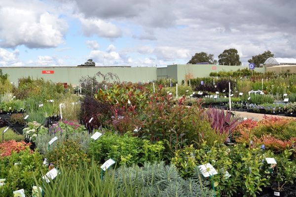 PLANTMARK - Updated December 2025 - 10 Photos - Duncans Rd, Werribee ...