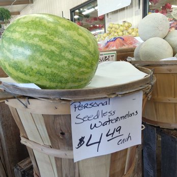 VIRGINIA CAROLINA ENTERPRISES - Updated January 2026 - 52 Photos & 15 ...