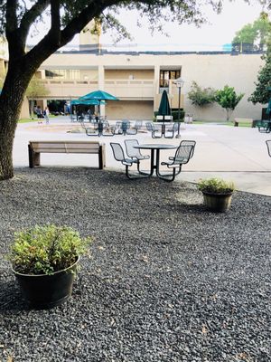 LONE STAR COLLEGE - NORTH HARRIS - Updated December 2025 - 28 Photos ...