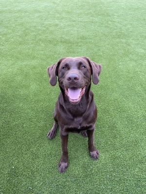 RILEY’S RANCH PET RESORT - Updated October 2025 - 13 Photos & 11 ...