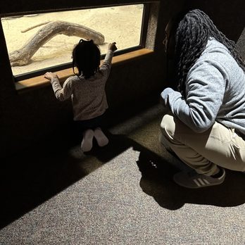 BOONSHOFT MUSEUM OF DISCOVERY - Updated August 2025 - 173 Photos & 77 ...