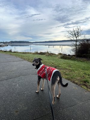 PRITCHARD ISLAND BEACH - Updated October 2025 - 28 Photos - 8400 55th ...