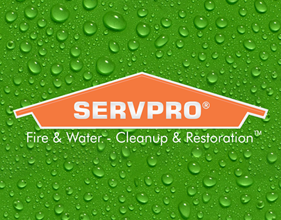 SERVPRO OF EAST CONCORD/BRENTWOOD - Updated December 2025 - 11 Reviews ...