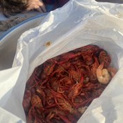 SWAMP DONKEYS CRAWFISH AND SEAFOOD - 107 Photos & 66 Reviews - 1965 ...