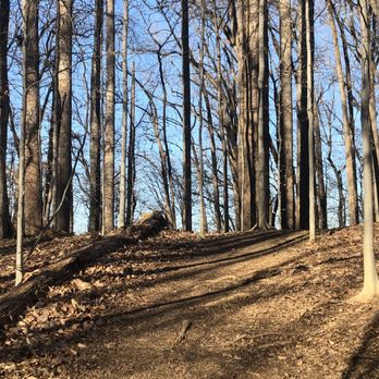 TURKEY RUN PARK - Updated October 2025 - 92 Photos & 25 Reviews ...