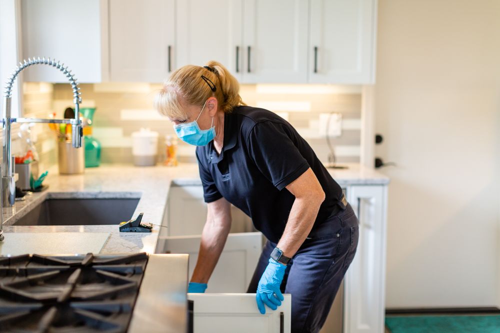 ADVANTAGE INTEGRATED PEST ELIMINATION - Updated July 2024 - 10782 SE ...