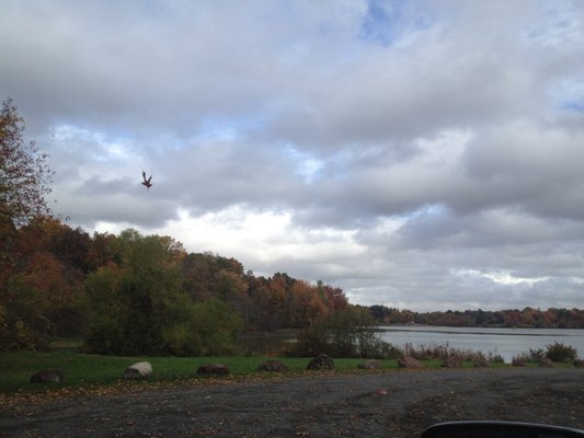 BATTERSON PARK POND - Updated December 2025 - 34 Photos - Batterson ...