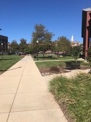 LOUIS STOKES HEALTH SCIENCES LIBRARY - Updated July 2024 - 14 Photos ...