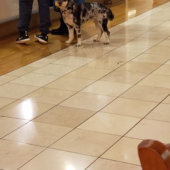 NORTHBROOK COURT - Updated August 2024 - 131 Photos & 141 Reviews ...