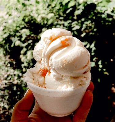 PENN STATE BERKEY CREAMERY - 343 Photos & 515 Reviews - 119 Food ...