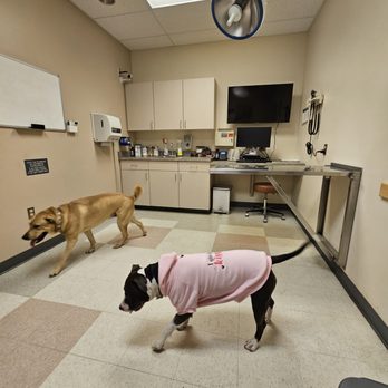 COLORADO STATE UNIVERSITY VETERINARY TEACHING HOSPITAL - Updated ...