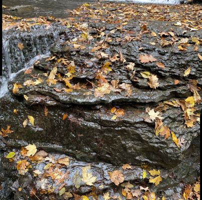 MACHINE FALLS LOOP TRAIL - Updated September 2025 - 95 Photos & 13 ...