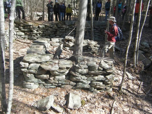BURRILLVILLE WILDLIFE AREA - Updated August 2025 - 35 Photos - Buck ...