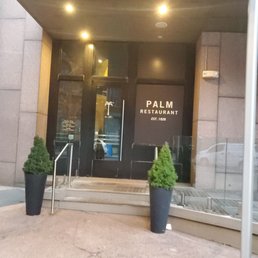 THE PALM - BOSTON - Updated August 2025 - 271 Photos & 318 Reviews - 1 ...