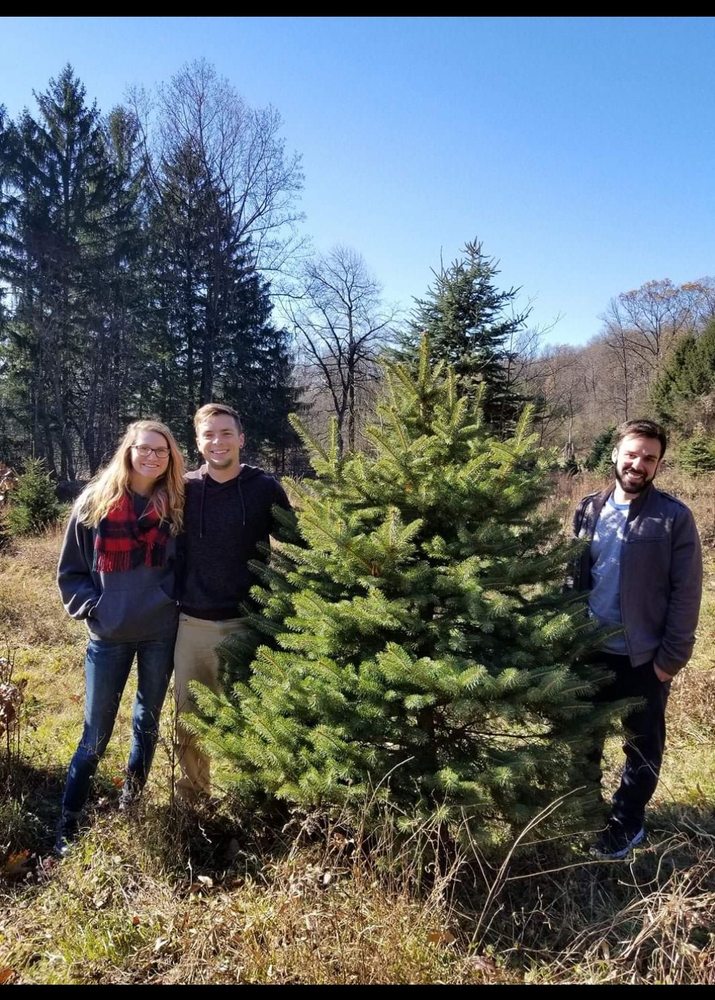 WHISPERING TREE TOPS - Updated November 2025 - 13 Photos - 208 Nuss Rd ...