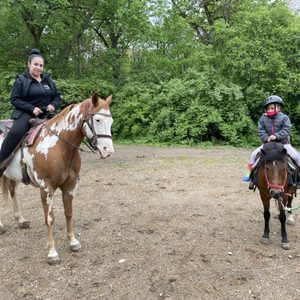 MEMORY LANE STABLES - 126 Photos & 70 Reviews - 8290 Kean Ave, Willow ...