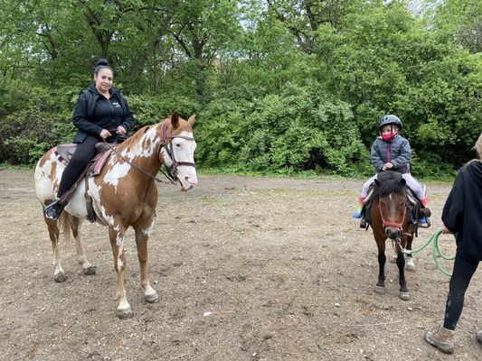 MEMORY LANE STABLES - 127 Photos & 74 Reviews - 8290 Kean Ave, Willow ...