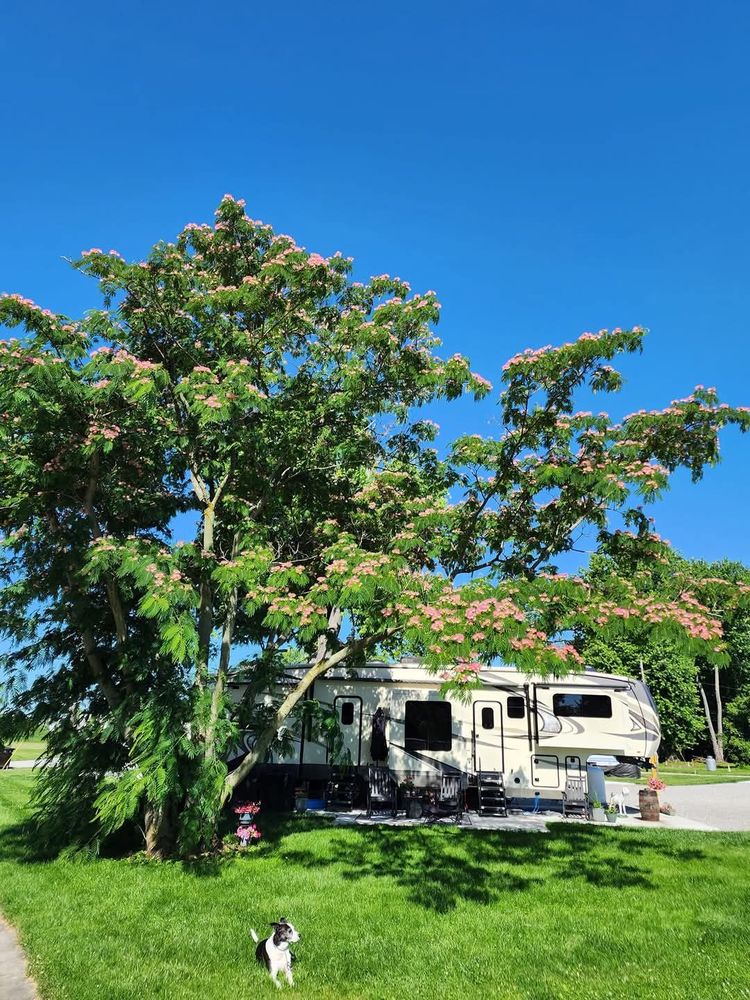 ROLLIN ON THE RIVER RV PARK - Updated October 2025 - 15389 Cincinnati ...