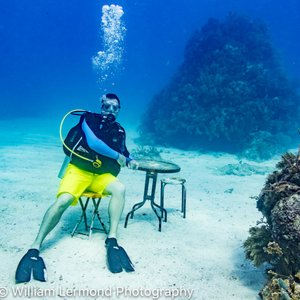 CONCH REPUBLIC DIVERS - Updated October 2025 - 94 Photos & 56 Reviews ...