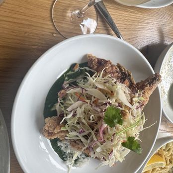 CHLOE - Updated August 2025 - 2029 Photos & 721 Reviews - 1331 4th St ...