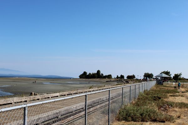 PARK SANDS BEACH RESORT - Updated December 2025 - 43 Photos - 105 ...