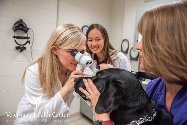KANSAS STATE UNIVERSITY VETERINARY HEALTH CENTER - Updated December ...