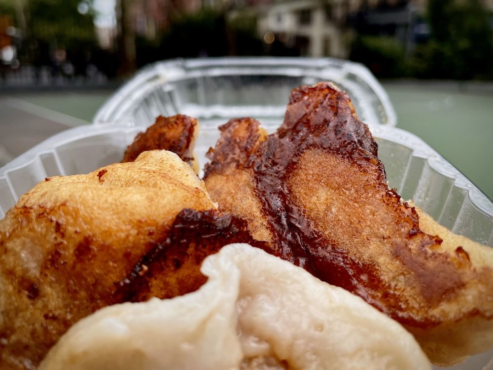 TASTY DUMPLING - Updated September 2024 - 454 Photos & 654 Reviews - 42 ...