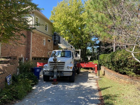 ACE TREE SERVICE - Updated September 2025 - 22 Photos & 23 Reviews - 4213 1st Ave N, Birmingham ...
