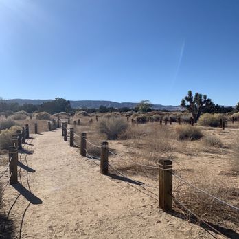 PRIME DESERT WOODLAND PRESERVE - Updated January 2026 - 211 Photos & 62 ...