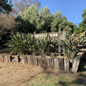 SHATTO RECREATION CENTER & PARK - Updated October 2025 - 20 Photos & 17 ...