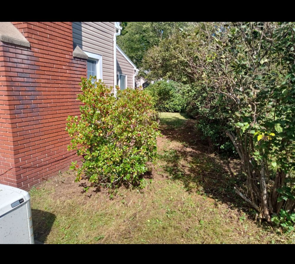 BACK COUNTRY LAWN CARE - Updated October 2025 - Request a Quote - 113 ...