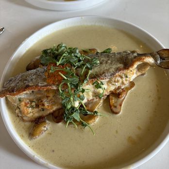 GEMMA FISH + OYSTER - Updated May 2024 - 247 Photos & 84 Reviews - 2039 ...