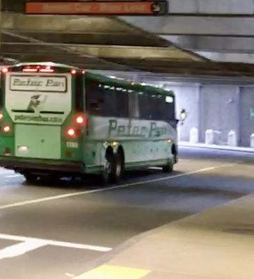 PETER PAN BUS LINES - Updated June 2025 - 79 Photos & 338 Reviews - 700 ...