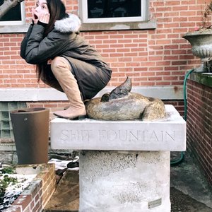 SHIT FOUNTAIN - 59 Photos & 56 Reviews - Public Art - 1001 N Wolcott ...