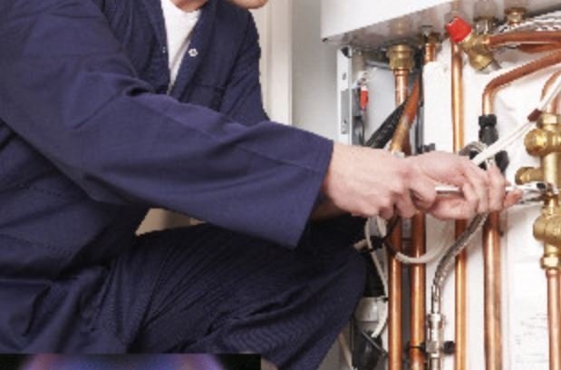 LAKESHORE PLUMBING & EEL - Updated November 2024 - 142 Marina Grove ...