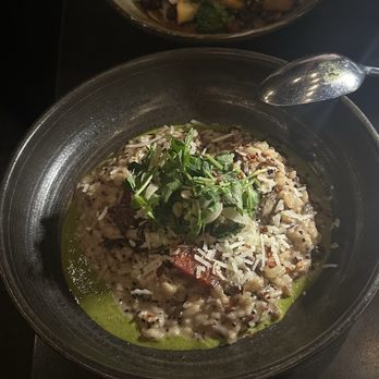 ROOT DOWN - Updated February 2025 - 2859 Photos & 4079 Reviews - 1600 W ...