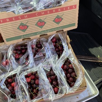 PEDRICK PRODUCE - Updated September 2025 - 1295 Photos & 621 Reviews ...