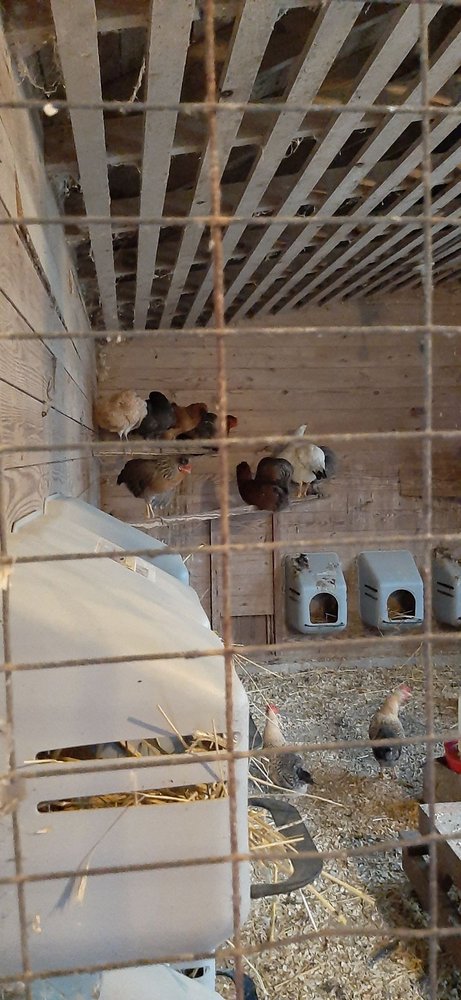 ROUND HILL PARK - 58 Photos & 19 Reviews - 651 Round Hill Rd, Elizabeth ...