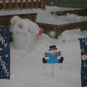 RIVERVIEW ESTATE BY BROPHY - Updated October 2024 - 72 Photos - 1650 ...