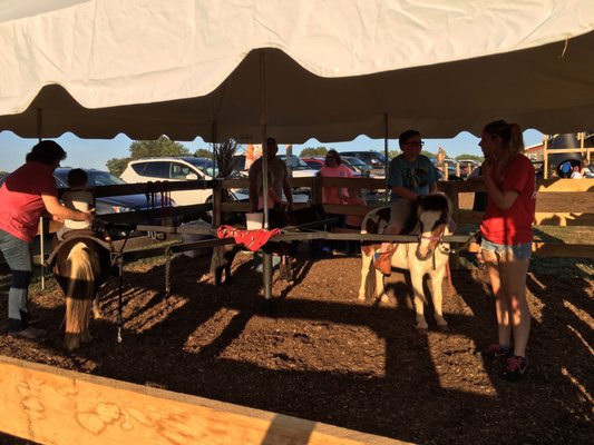 THE FARM - 49 Photos - 769 Bray Ford Rd, Dobson, North Carolina - Farms ...