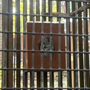 CASCADES RAPTOR CENTER - Updated July 2025 - 173 Photos & 115 Reviews ...