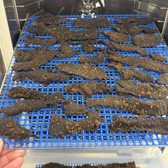 BIG Y - Updated August 2025 - 70 Photos & 35 Reviews - 33 Fieldstone ...