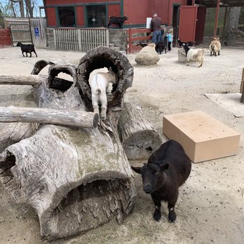 SCOVILL CHILDREN’S ZOO - Updated December 2025 - 25 Photos & 14 Reviews ...