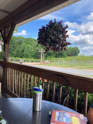 WOODMILL WINERY - Updated March 2025 - 43 Photos & 30 Reviews - 1350 ...