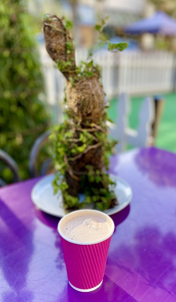 TIMOTHY ADAMS CHOCOLATES - 451 Photos & 382 Reviews - 539 Bryant St ...