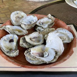 O’SHUCKS! OYSTER BAR AND GRILL - Updated June 2024 - 168 Photos & 258 ...