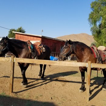 WESTERN TRAILS HORSEBACK RIDING - Updated October 2025 - 498 Photos ...