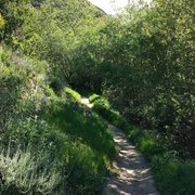 WILDWOOD REGIONAL PARK - 421 Photos & 112 Reviews - Hiking - 928 W ...