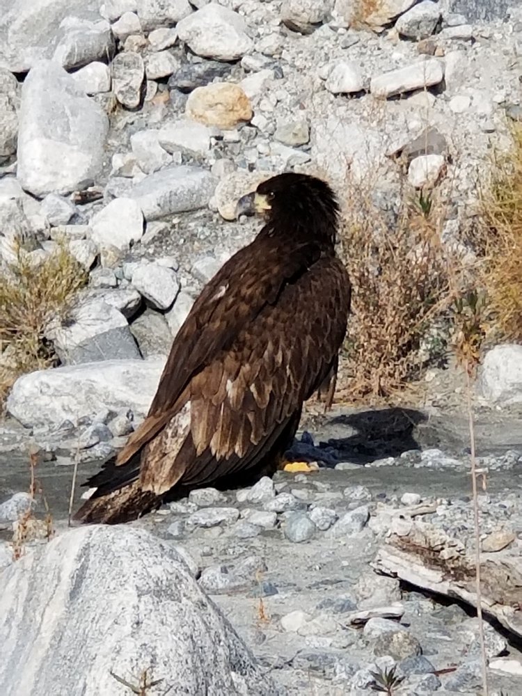 WHITEWATER PRESERVE - 436 Photos & 99 Reviews - Hiking - 9160 ...