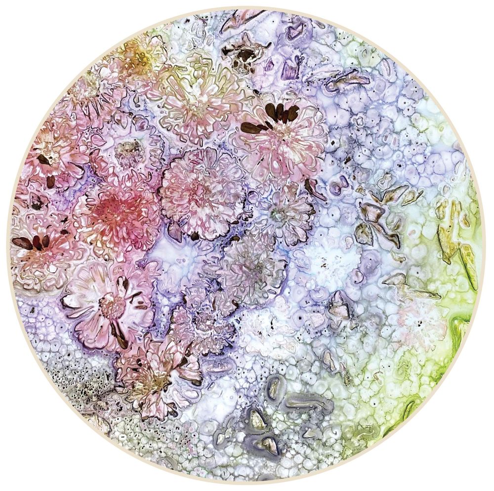 PROJECT JOY STUDIO - Updated December 2025 - 45 Photos - 1241 Carpenter ...